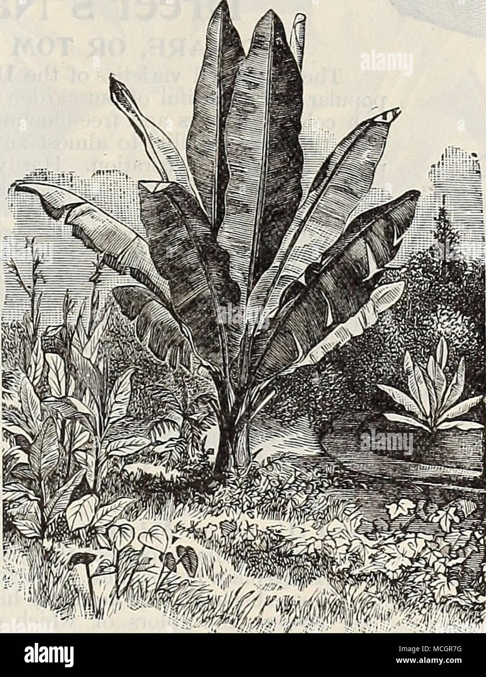 6122 hi-res stock photography and images - Alamy