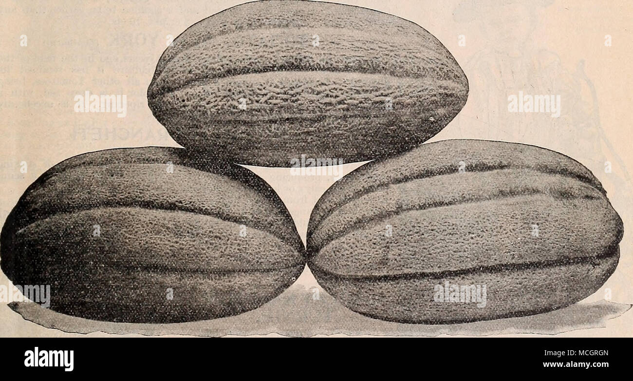 Philadelphia turkey hi-res stock photography and images - Alamy