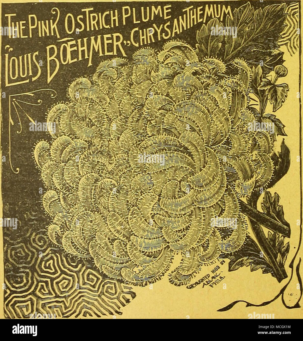 Ivory turning hi-res stock photography and images - Alamy