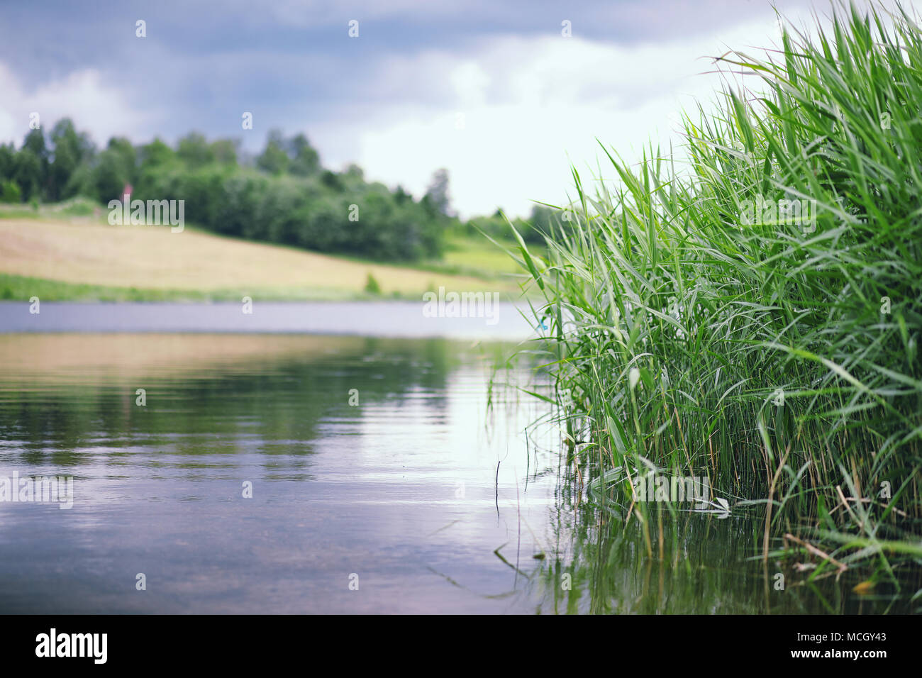 Landscape lake. Texture of water. The lake is at dawn. The mouth Stock ...