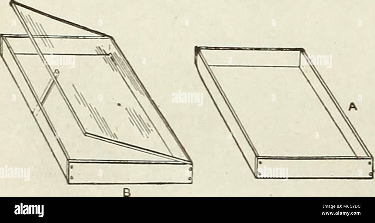 . For sowing seeds, shallow boxes 2 to 3 inches deep, and covered with ...