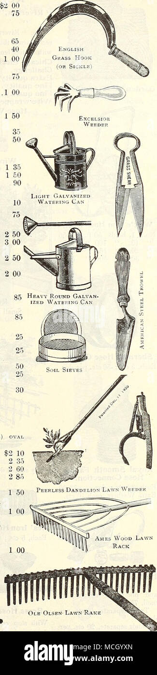 . Hustler Lawn Rake Automatic Sklp-cieaning Rake (59 Stock Photo - Alamy