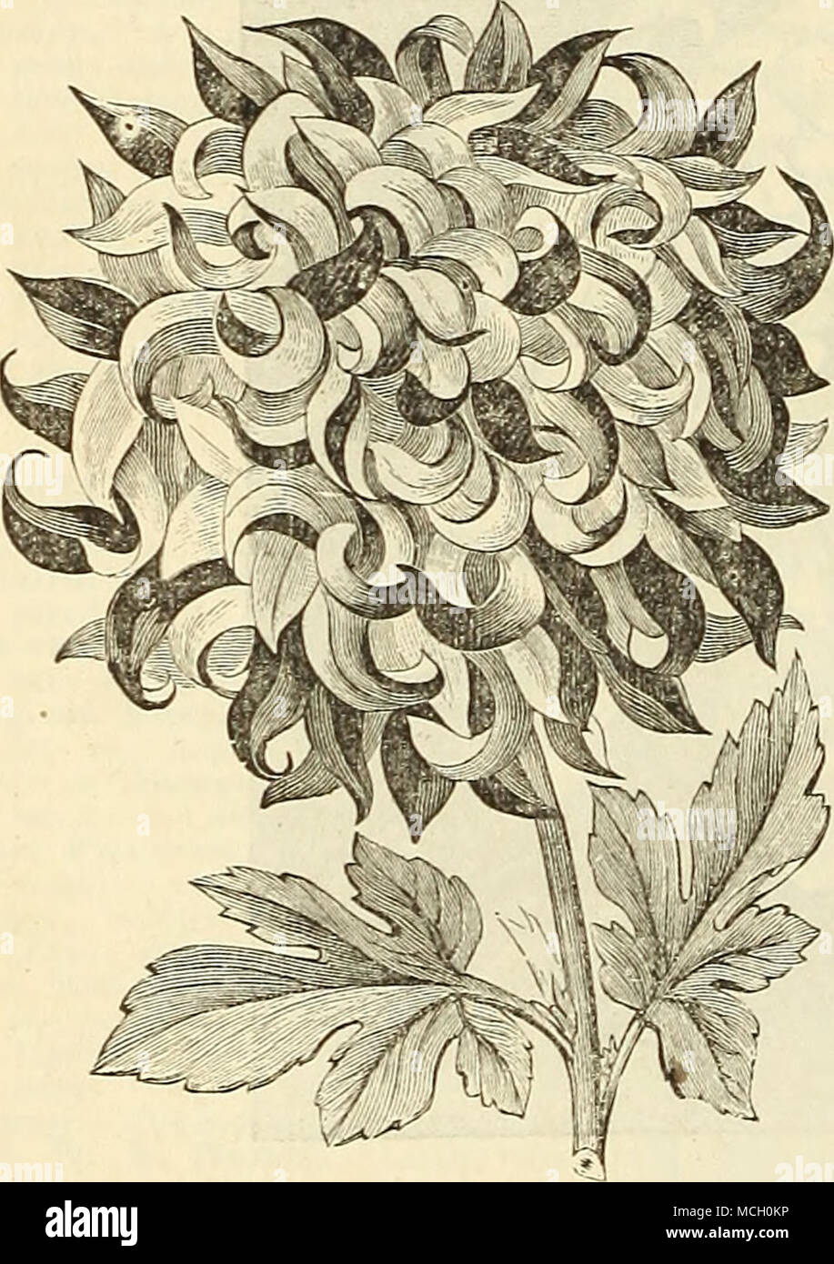 John salter hi-res stock photography and images - Alamy