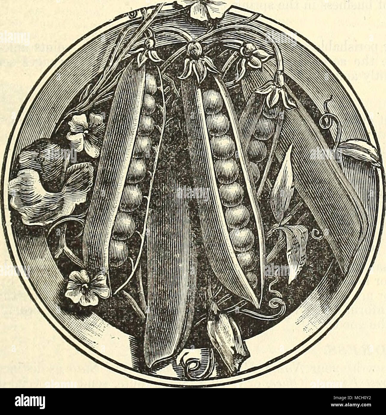 . Henry r. bree^. Seed and Horticultural Warehouse, No. 714 Chestnut ...