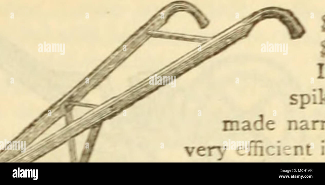 IRON AGE HORSE CUL] Stock Photo - Alamy