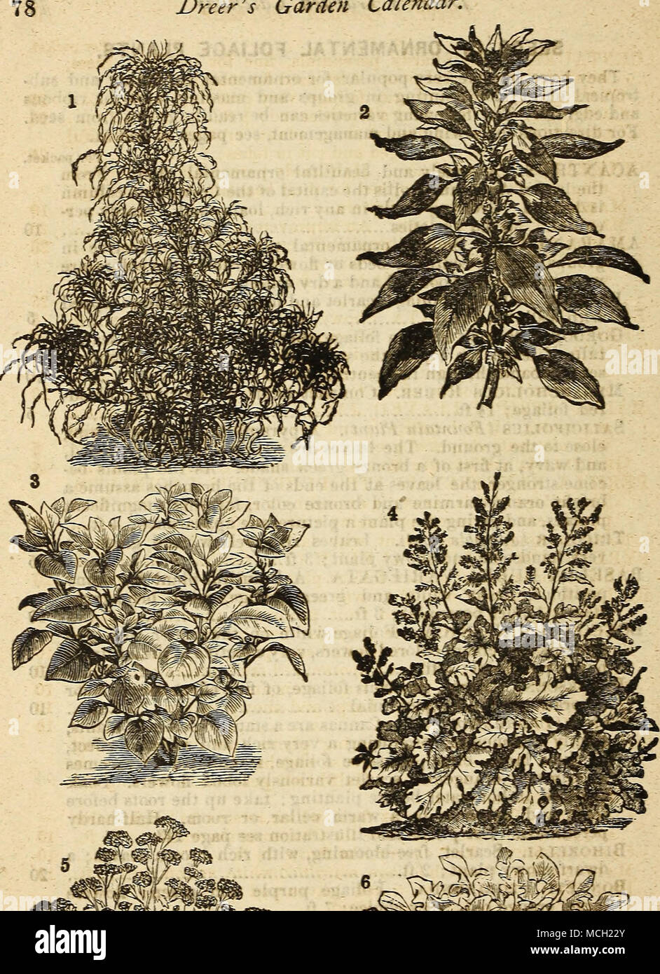 Mmh hi-res stock photography and images - Alamy