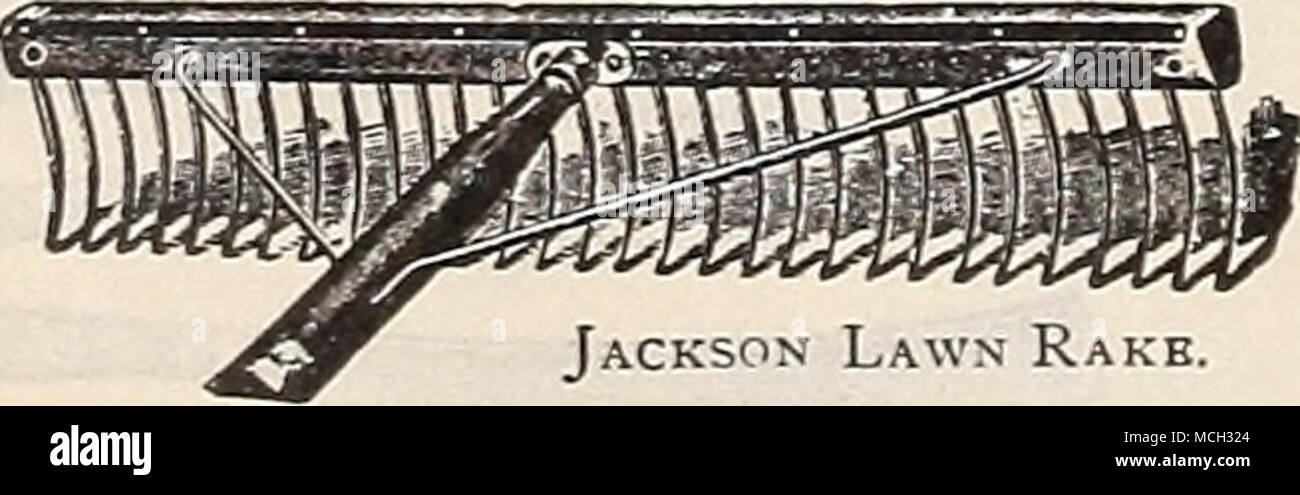 . Jackson Lawn Rake. Lawn King Rake Stock Photo - Alamy