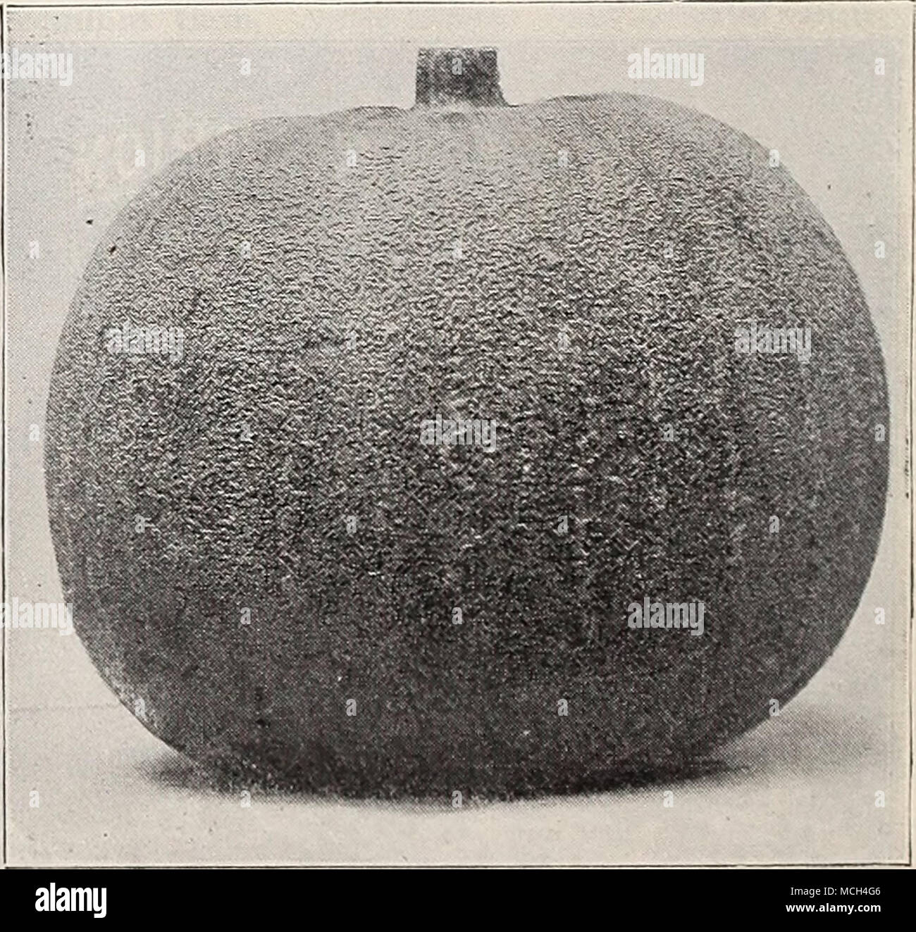 Winrer hi-res stock photography and images - Alamy