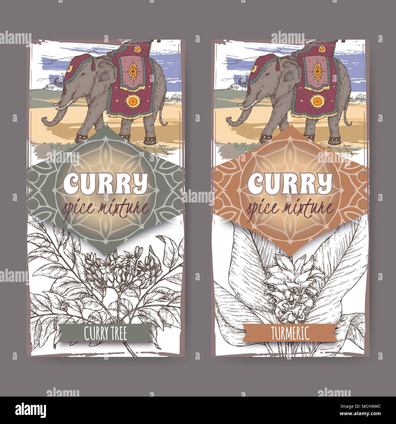 Curcuma longa vector vectors hi-res stock photography and images - Alamy