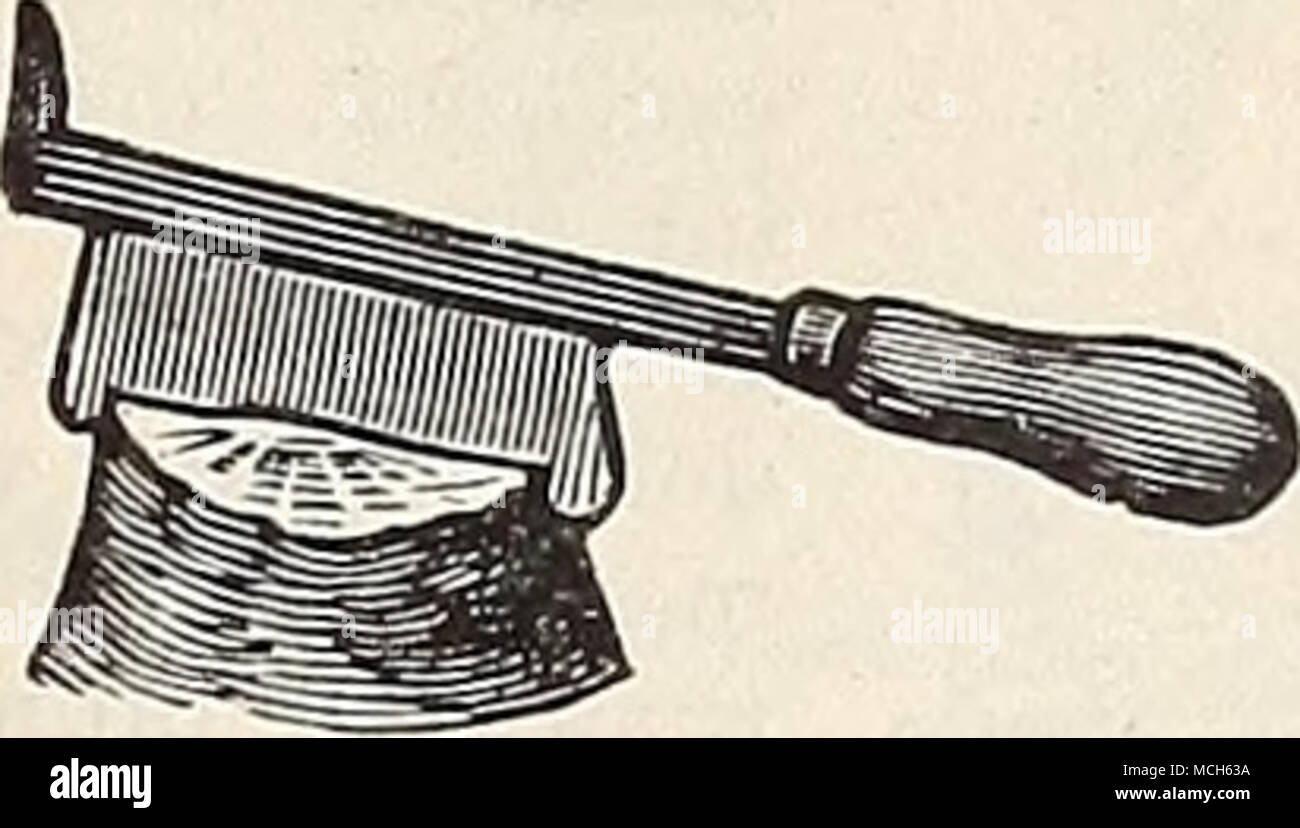 . es will be mailed. Jfitffgft. 4 00 in) Grafting Chisel Fruit Picker ...