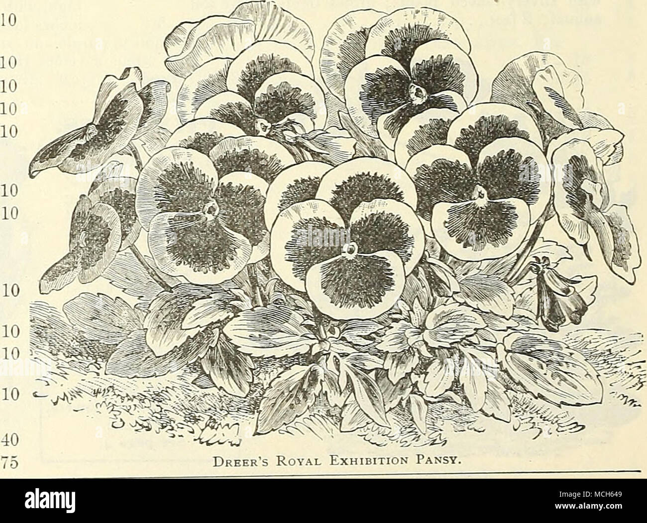 . If you are interested in the Popular or Common Names of Flowers, see ...