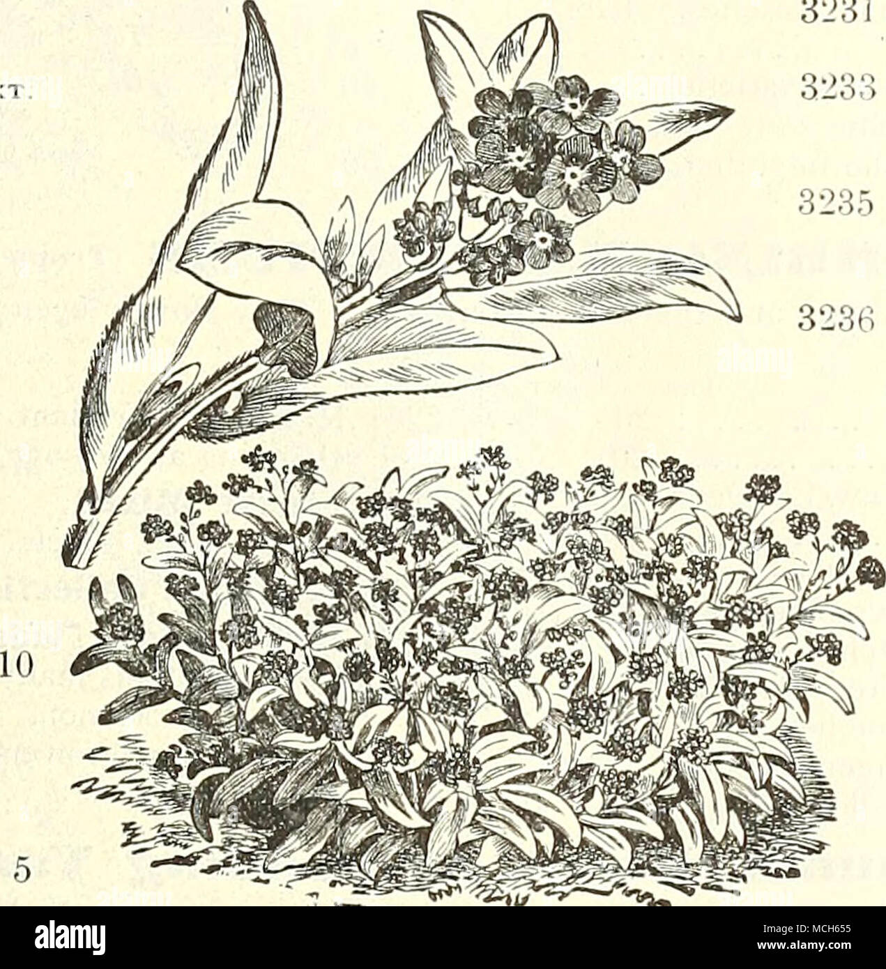 Trel hi-res stock photography and images - Alamy