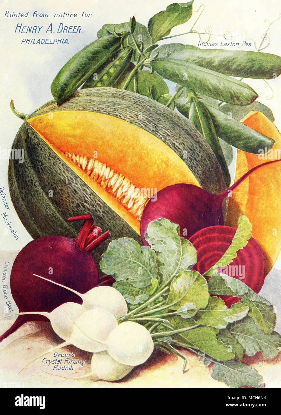 . for descriptions and prices see opposite puge Stock Photo - Alamy