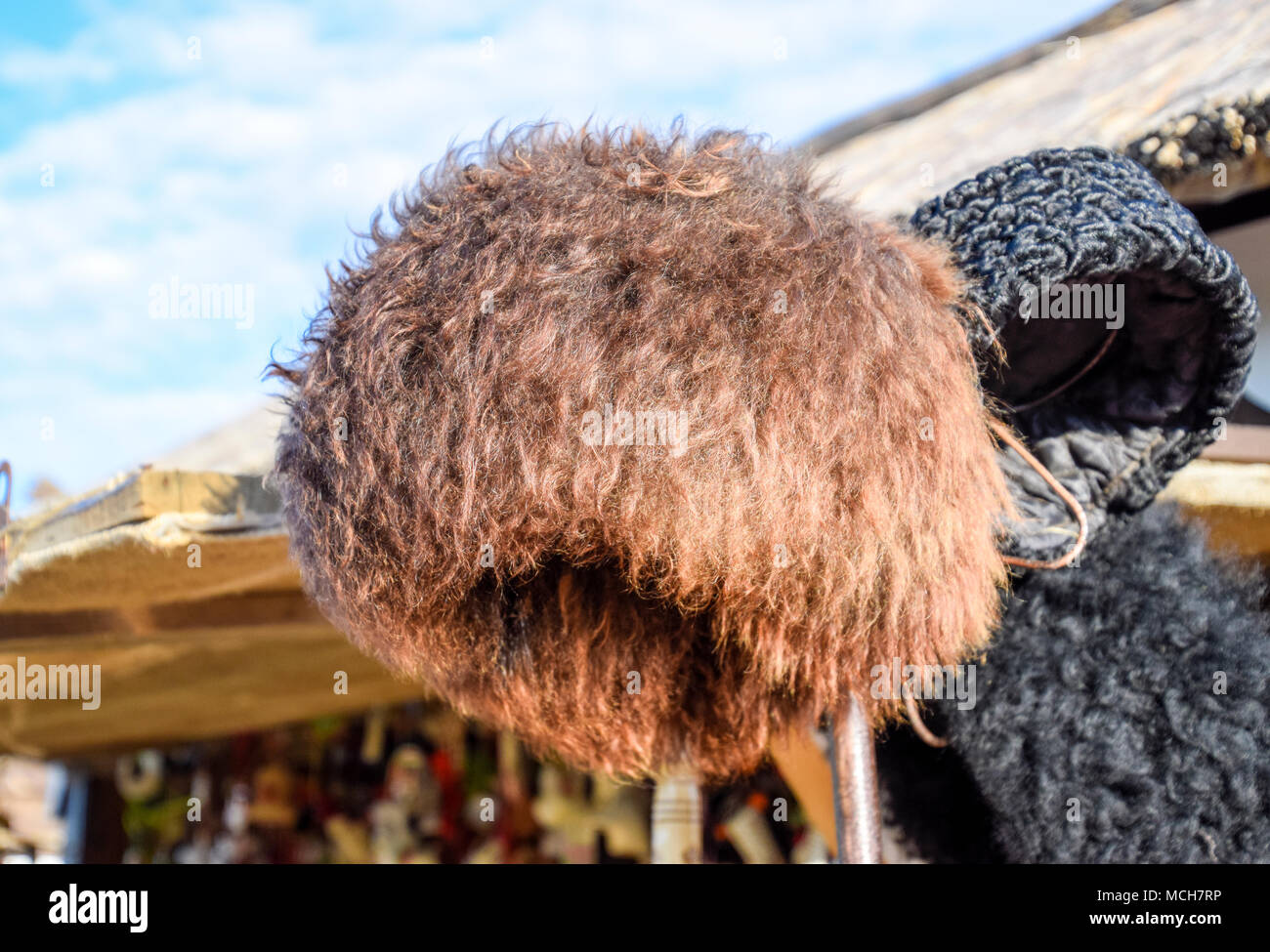 Cossack hat made of sheep's wool on the market. Mouton sheep's wool ...