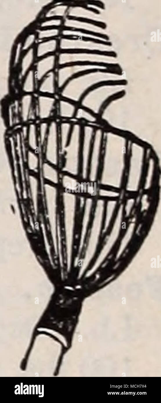 . Wire Fruit Picker Stock Photo - Alamy