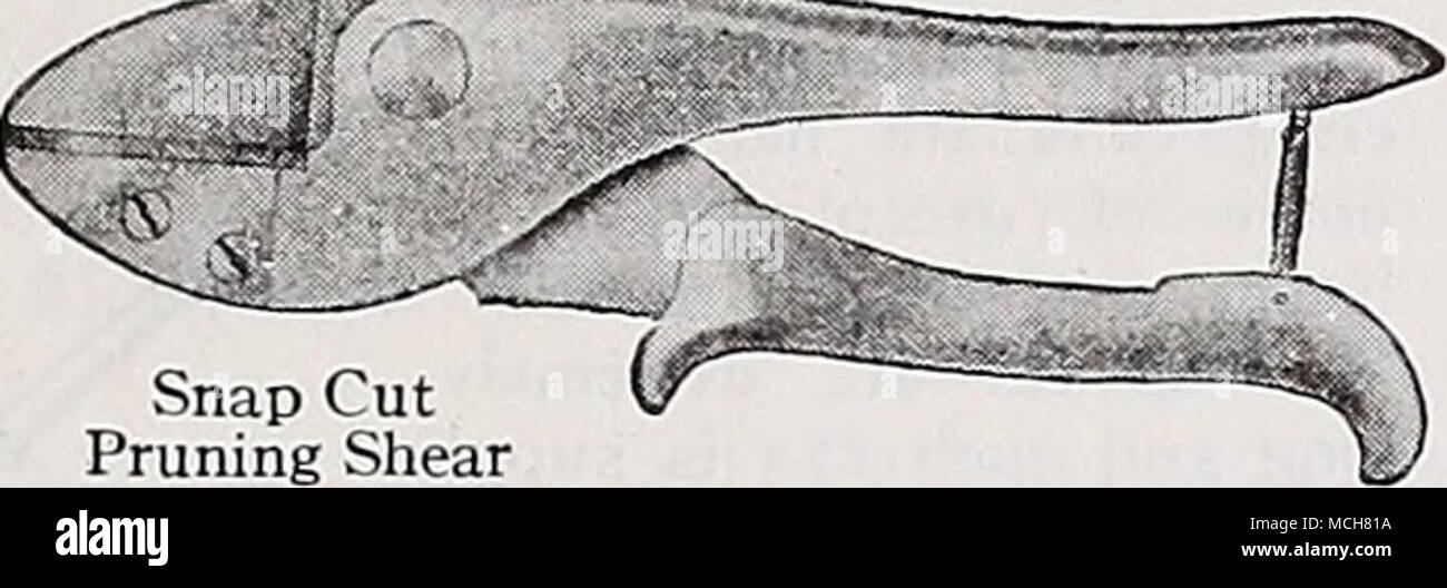 . Snap Cut Pruning Shear 6-inch, for ladies use $1.65; 8-inch $2.20 ...