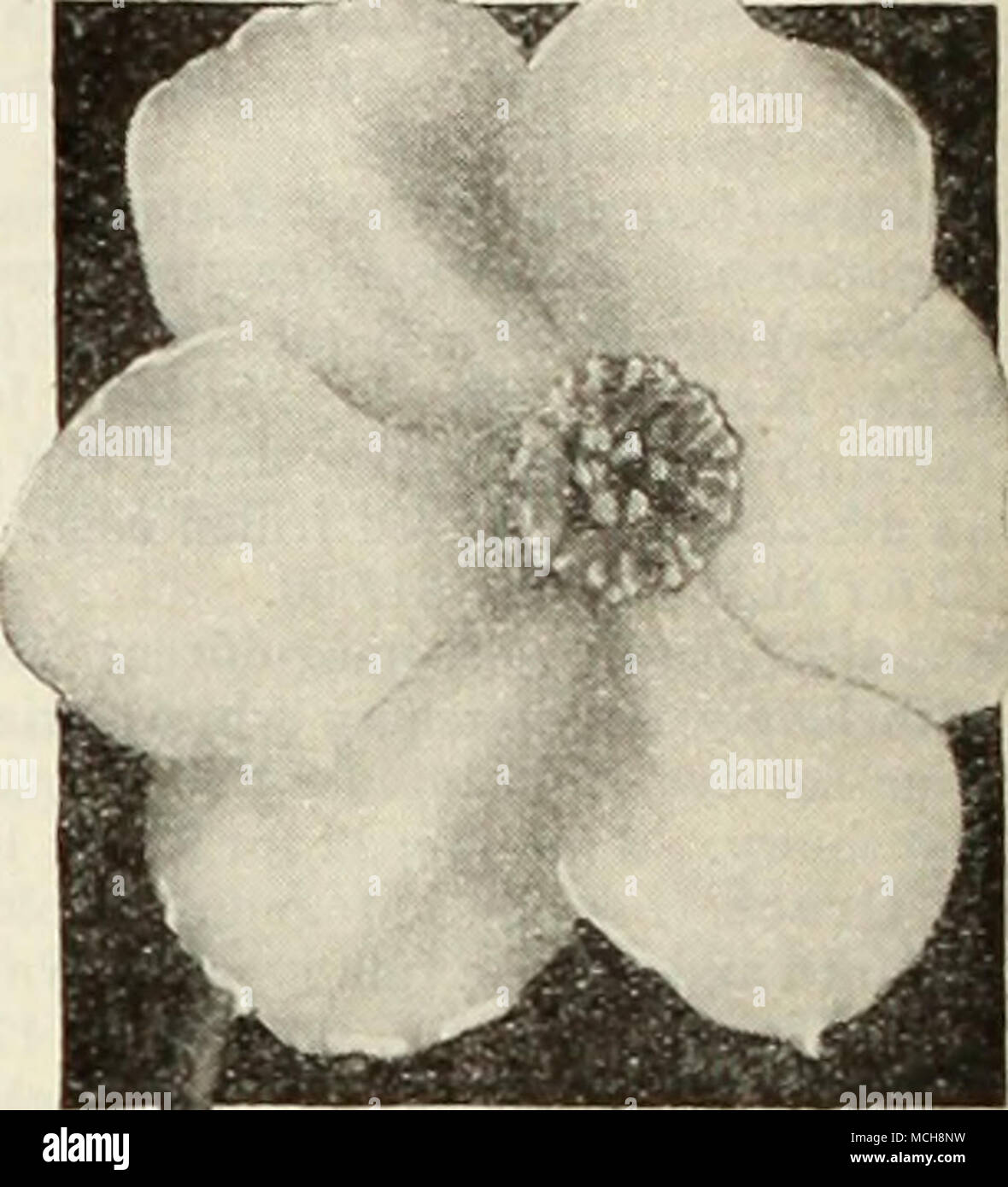 Semi shaded position hi-res stock photography and images - Alamy