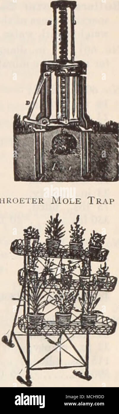 . Collapsible Wire Plant Stand Stock Photo - Alamy