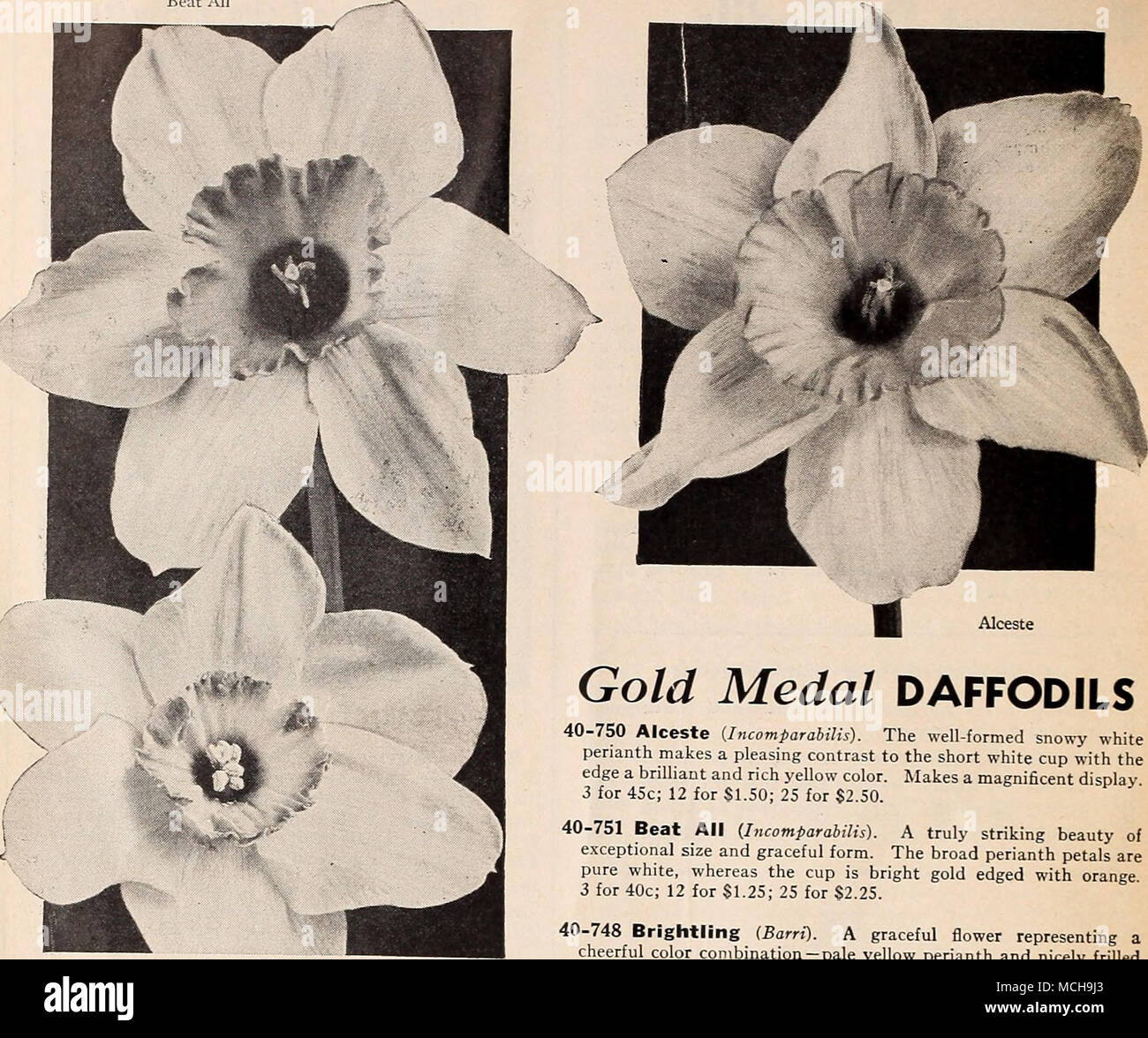 . Brightling i V Stock Photo - Alamy