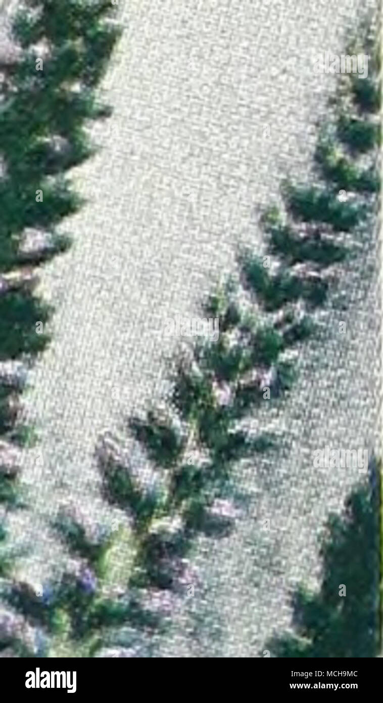 . ij *' >- Vo- ls 'i toi^^-s^ 'f^' 4?*. .i^iijj'ft:'?*,. ,f, , c ...