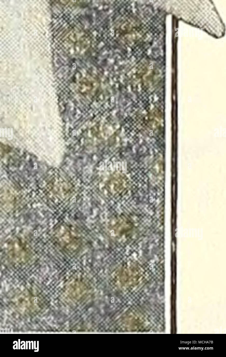 Theseason hi-res stock photography and images - Alamy