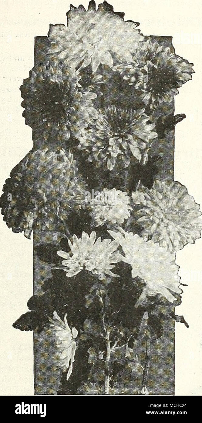 Old white ber hi-res stock photography and images - Alamy