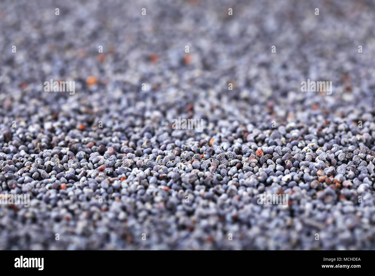 whole blue poppy seeds background Stock Photo - Alamy