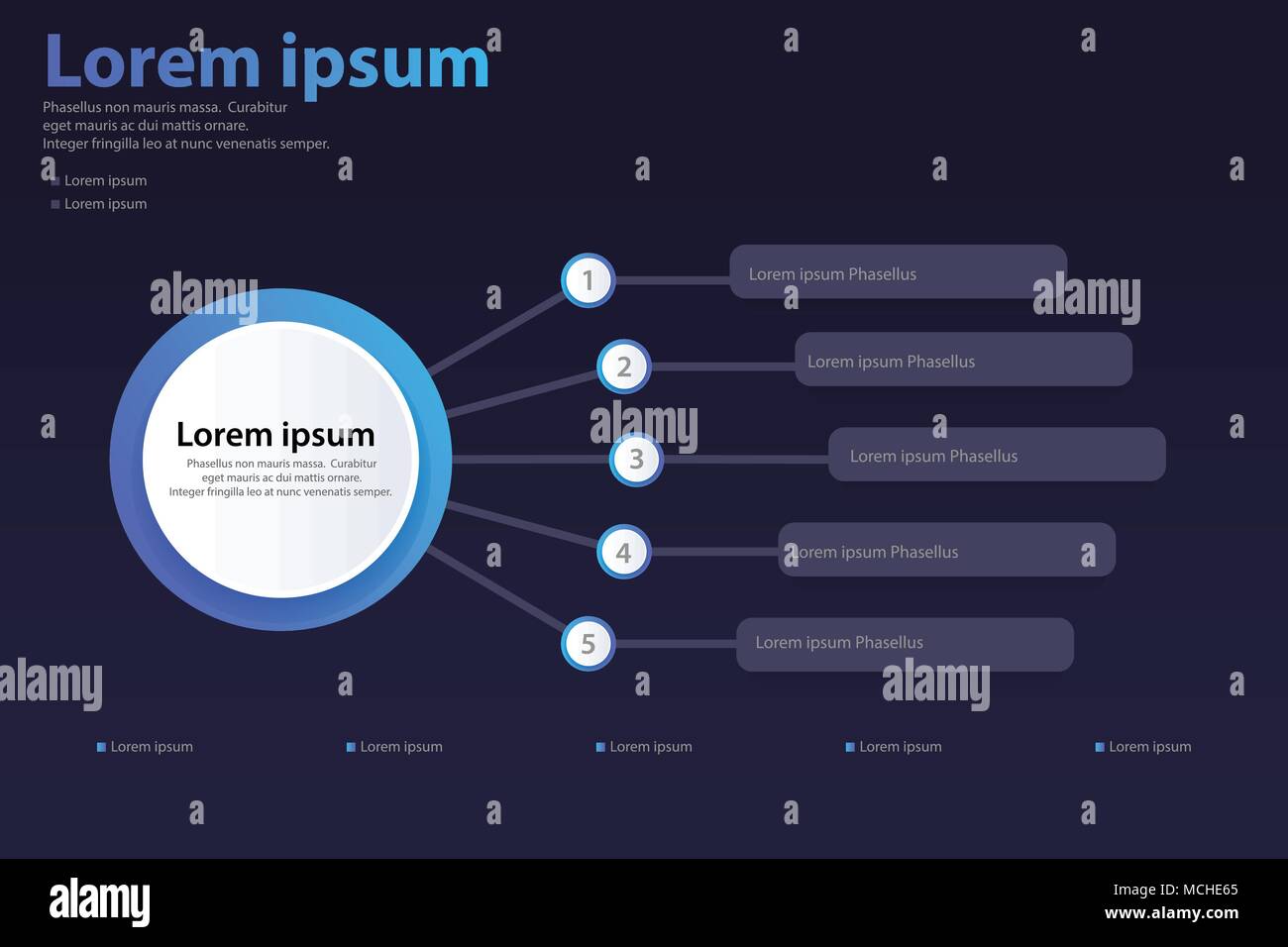infographic 5 different options plane concept template Stock Vector ...
