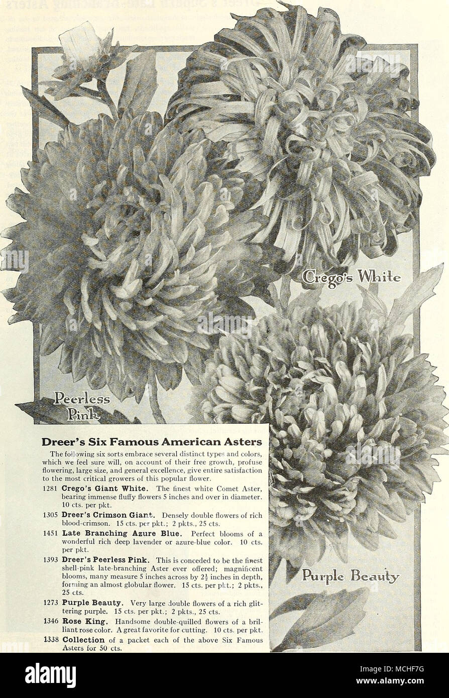 Branching types hi-res stock photography and images - Alamy