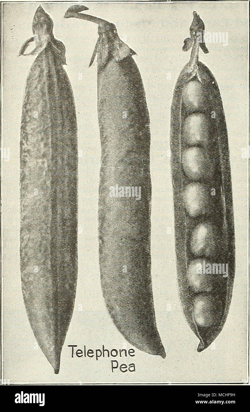 Which has 32 pods hi-res stock photography and images - Alamy