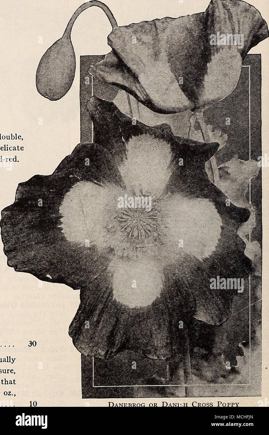 Cross and hamblin hi-res stock photography and images - Alamy