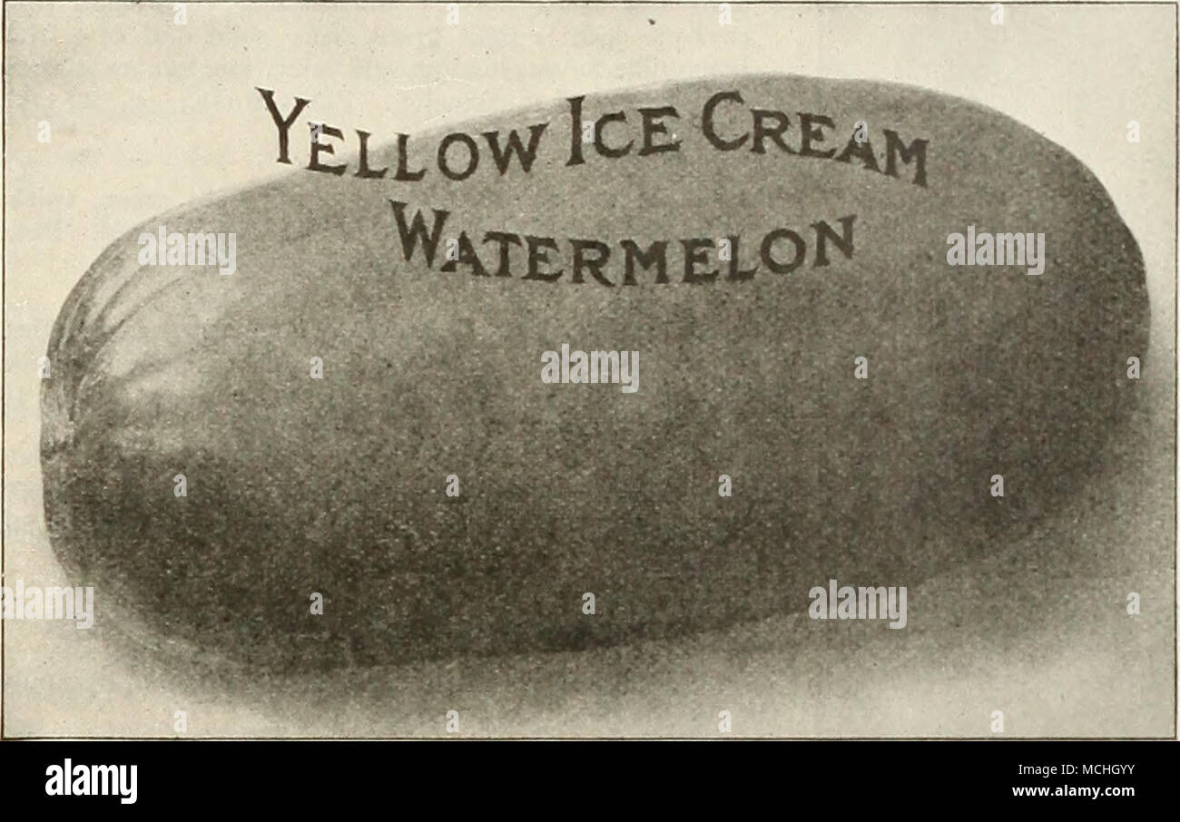 Mclone hi-res stock photography and images - Alamy