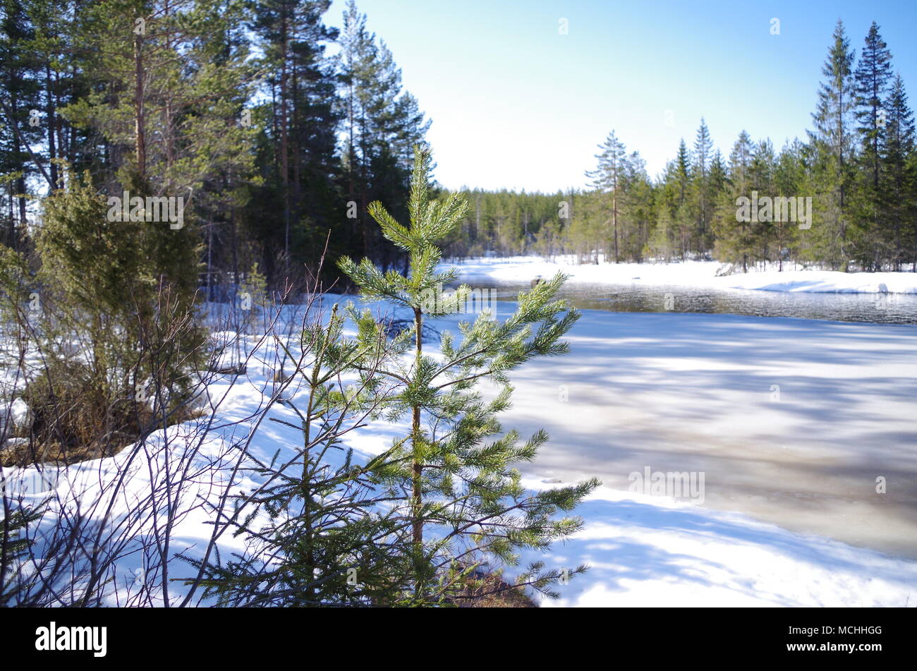 Ice melting on a frozen river Stock Photo - Alamy