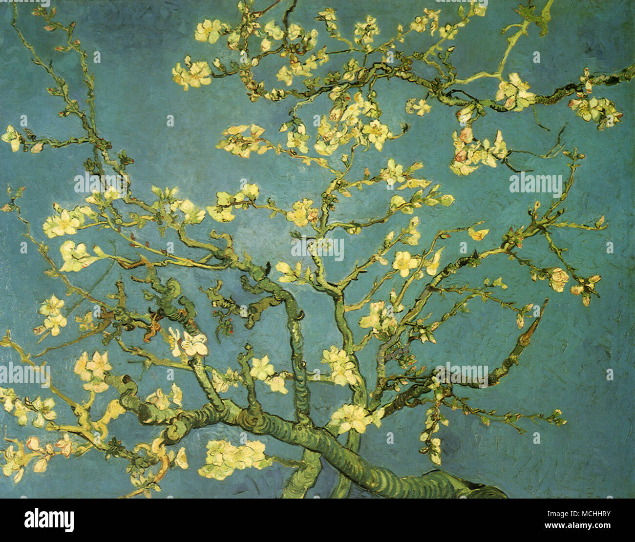 Vincent van gogh almond tree hi-res stock photography and images - Alamy