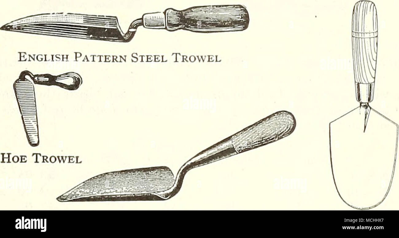 Blade 7 1 4 hi-res stock photography and images - Alamy