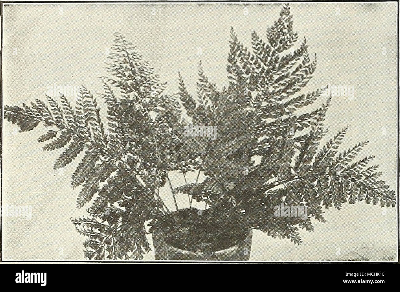 Haroy hi-res stock photography and images - Alamy