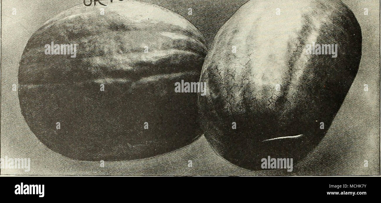 Mclone hi-res stock photography and images - Alamy