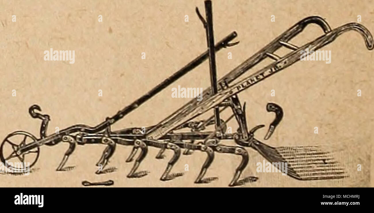 Tooth harrow hi-res stock photography and images - Alamy