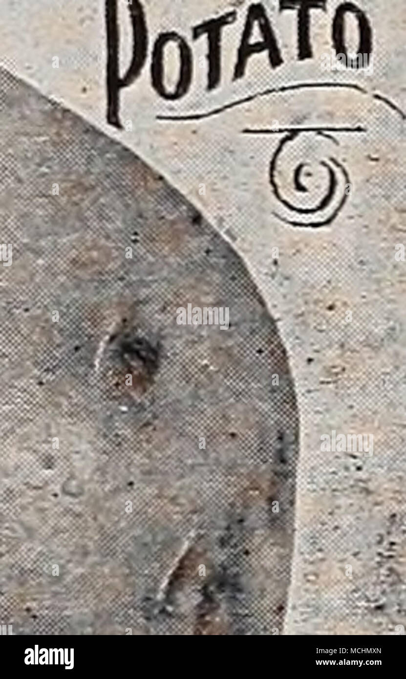 196 foot hi-res stock photography and images - Alamy