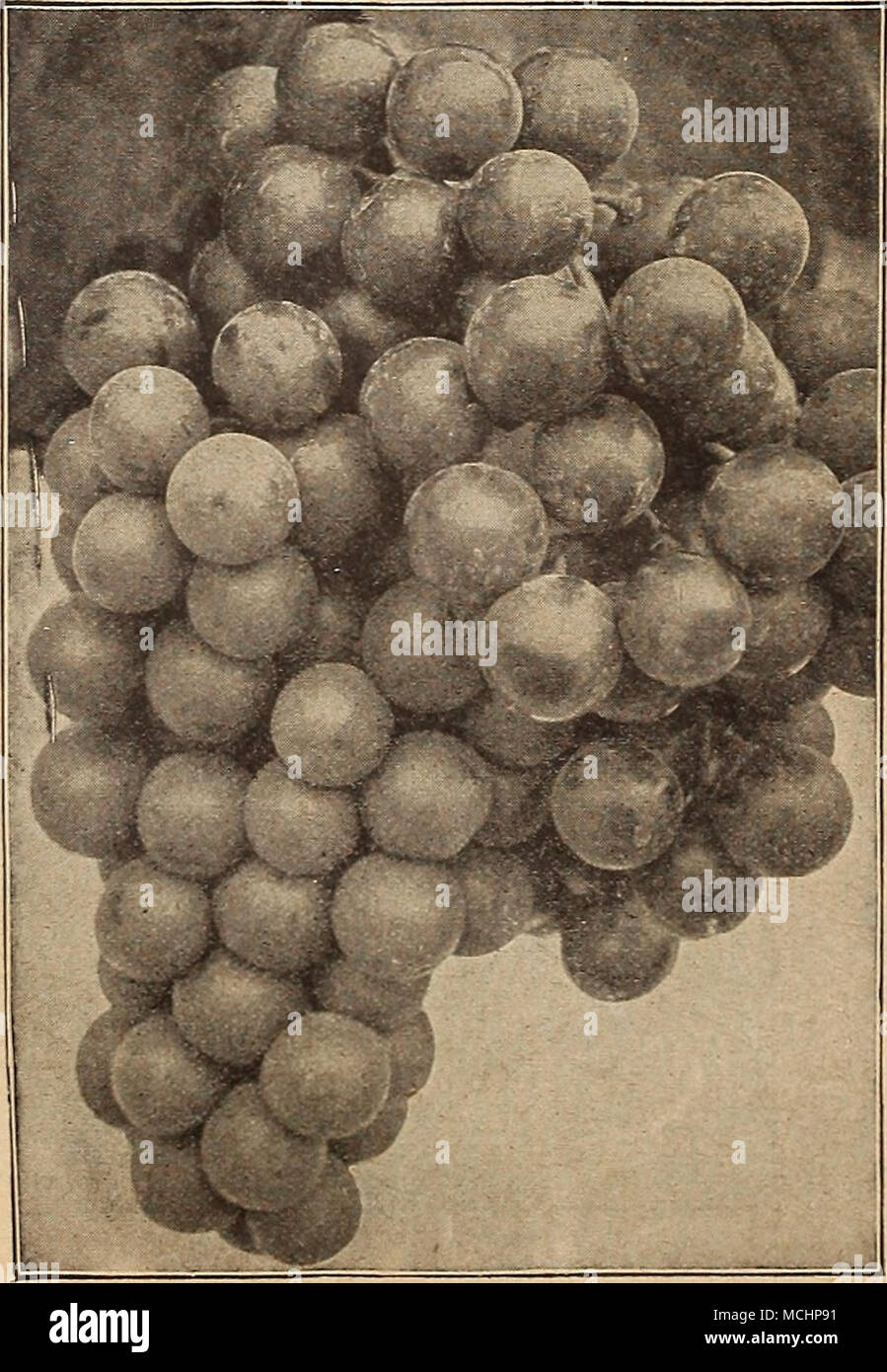 Gr 120 hi-res stock photography and images - Alamy