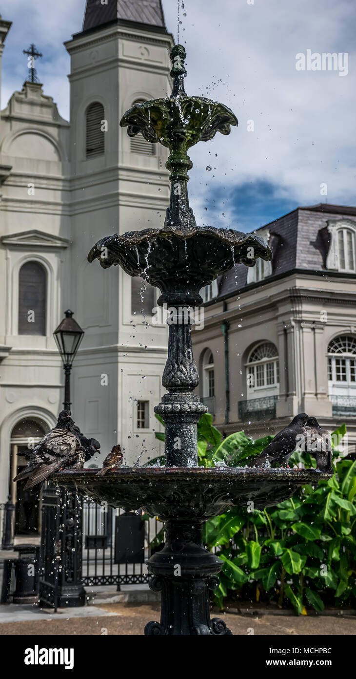 New Orleans Saint Louis Cathedral Fountain Stock Photo - Alamy