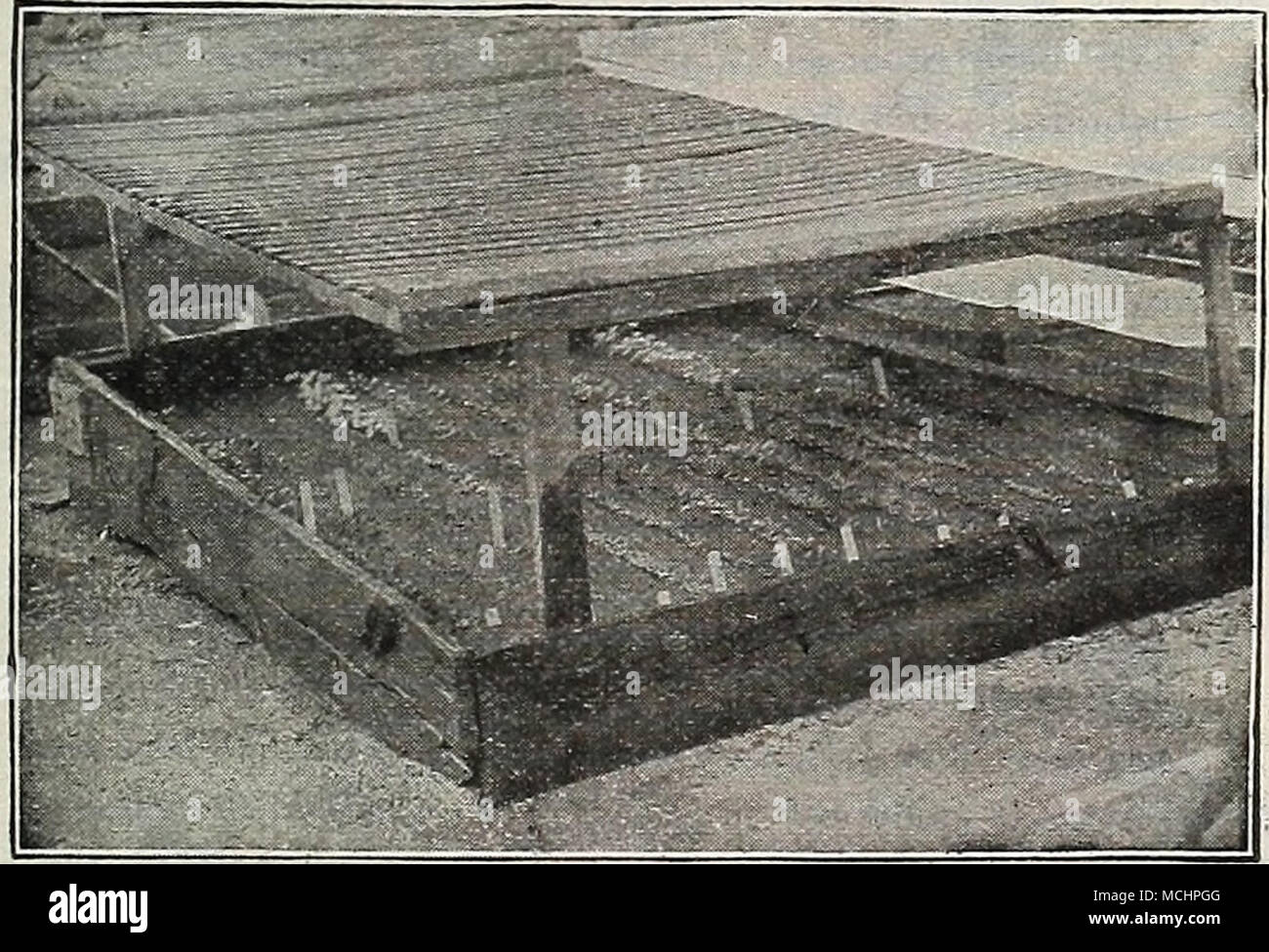 . The full worth of their money to all is the broad principle in which ...