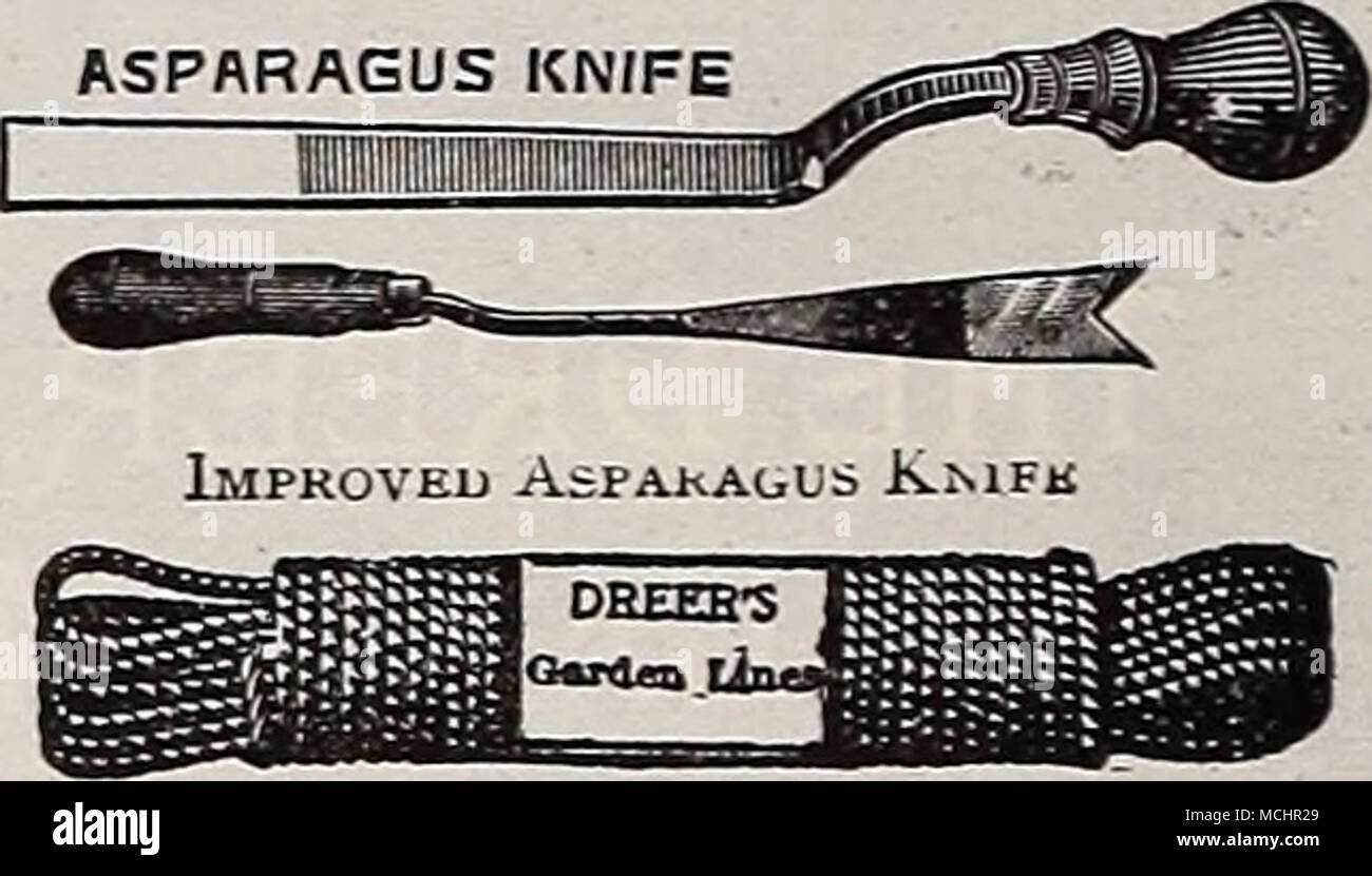 . Wire Grass Hook or Sickle Grafting Tool Hanging Basket ^J Stock Photo ...