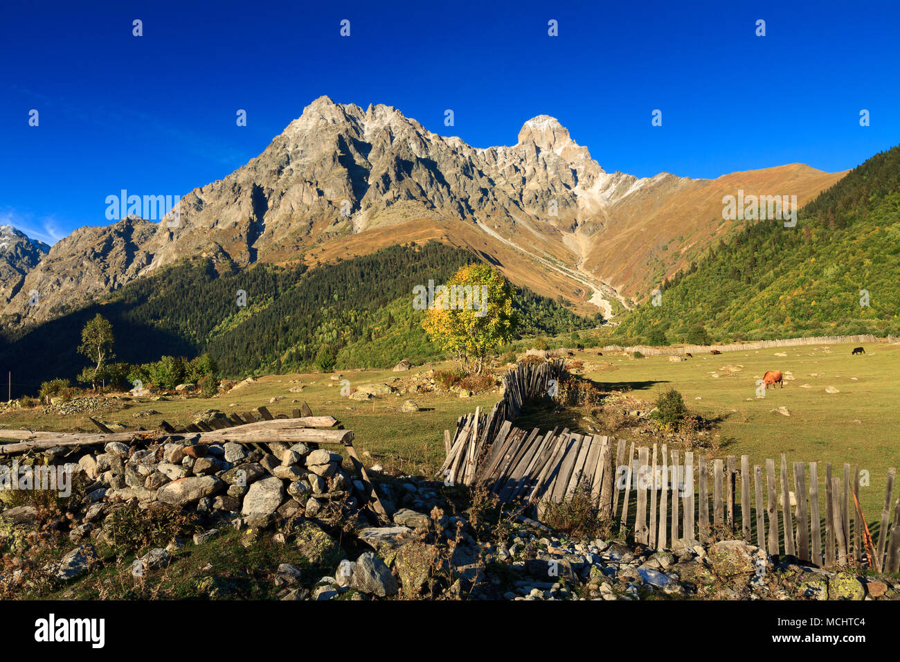 View on Ushba from Mazeri village. Mazeri is a mountain village in ...