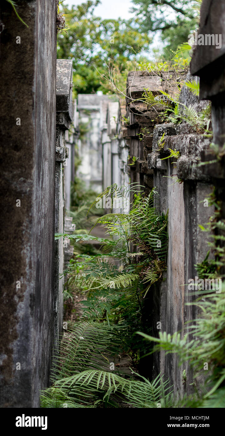 Tombstones cemetery new orleans louisiana hi-res stock photography and ...