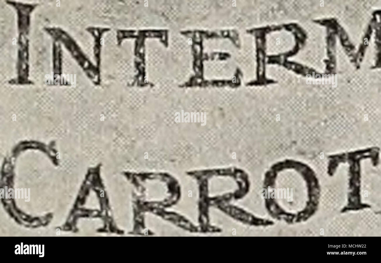 Garotte hi-res stock photography and images - Alamy