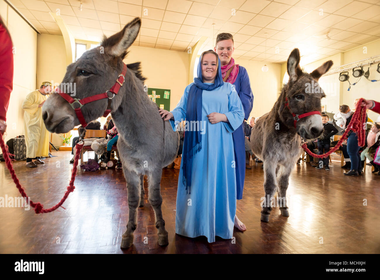 Nativity play donkey hi-res stock photography and images - Alamy