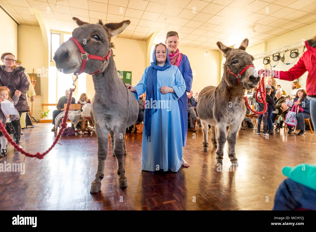 Nativity play donkey hi-res stock photography and images - Alamy