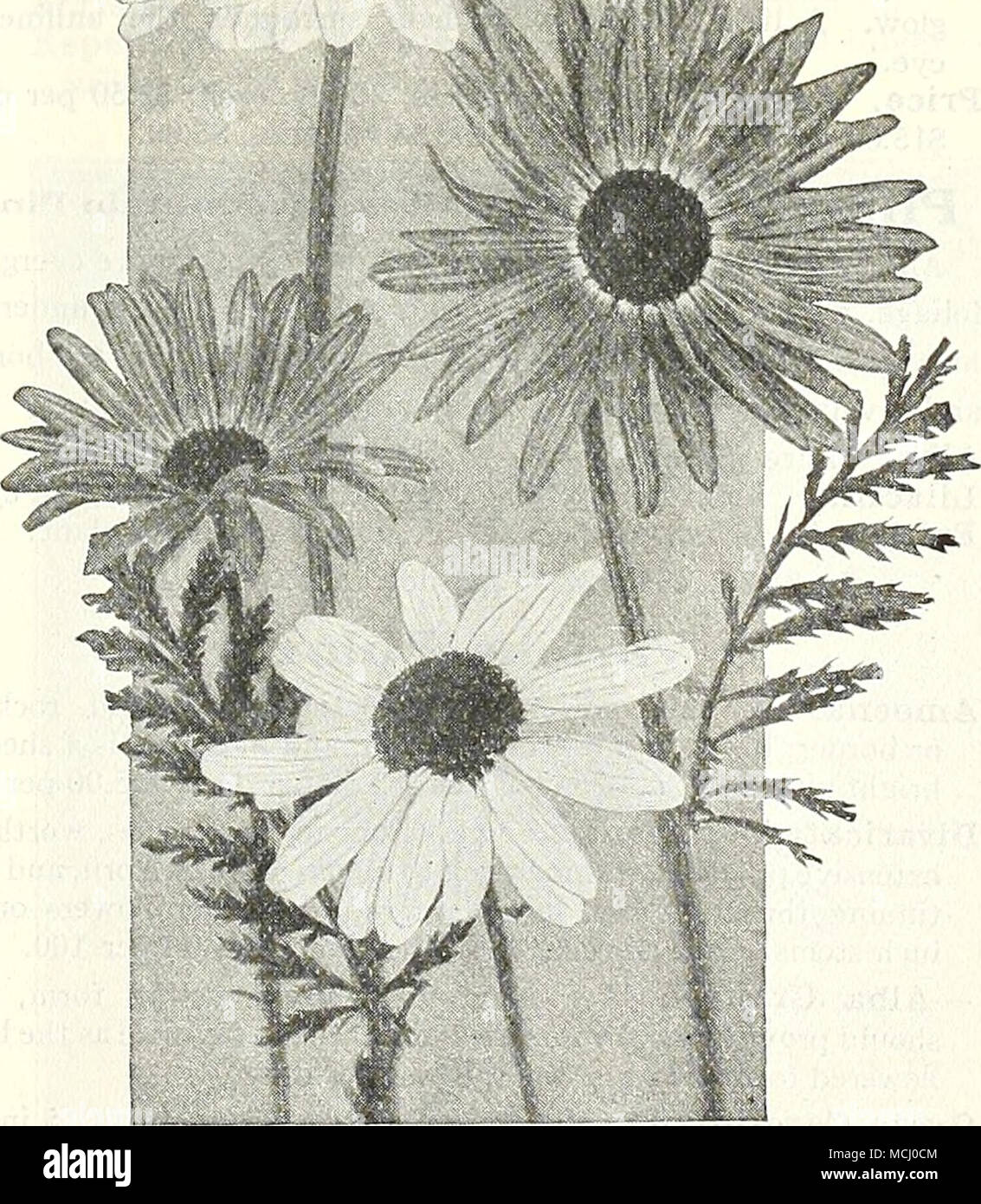 . PVRRTIIRirM IIn'I^IJIIUM NOTE—Plants will be sent by Parcel Post if ...