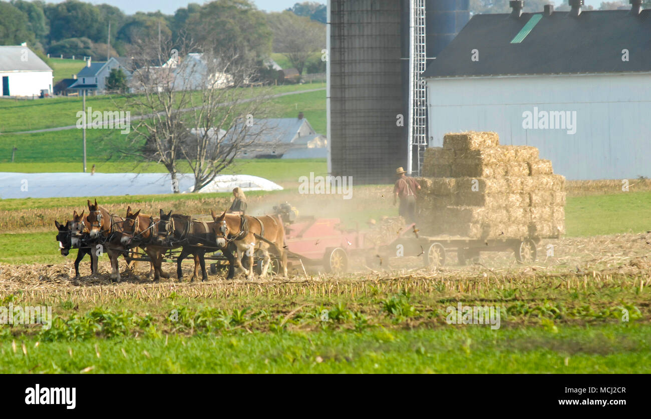 Amish family hi-res stock photography and images - Alamy